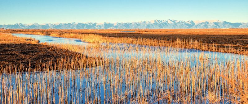 Water Rights & Water Supply - Denver Colorado - HRS Water Consultants